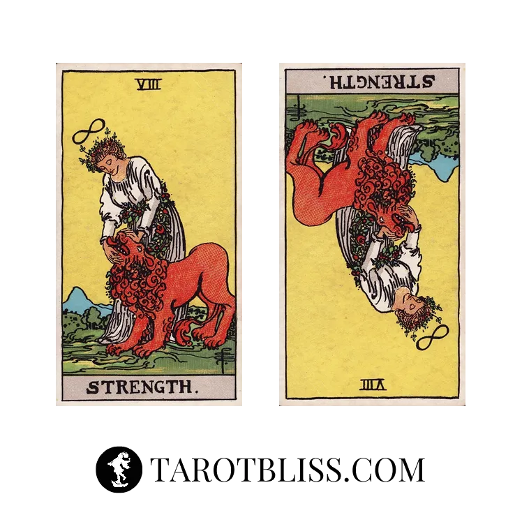 Strength Tarot Card Meaning Love Work Health More Strength Tarot Card Meaning Love Work Health More